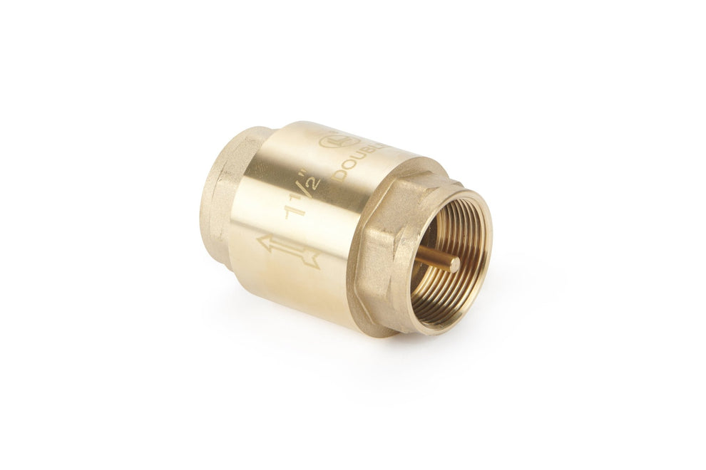 Check Valve Brass Spring BSP (CT-CKB) – Valve Supply