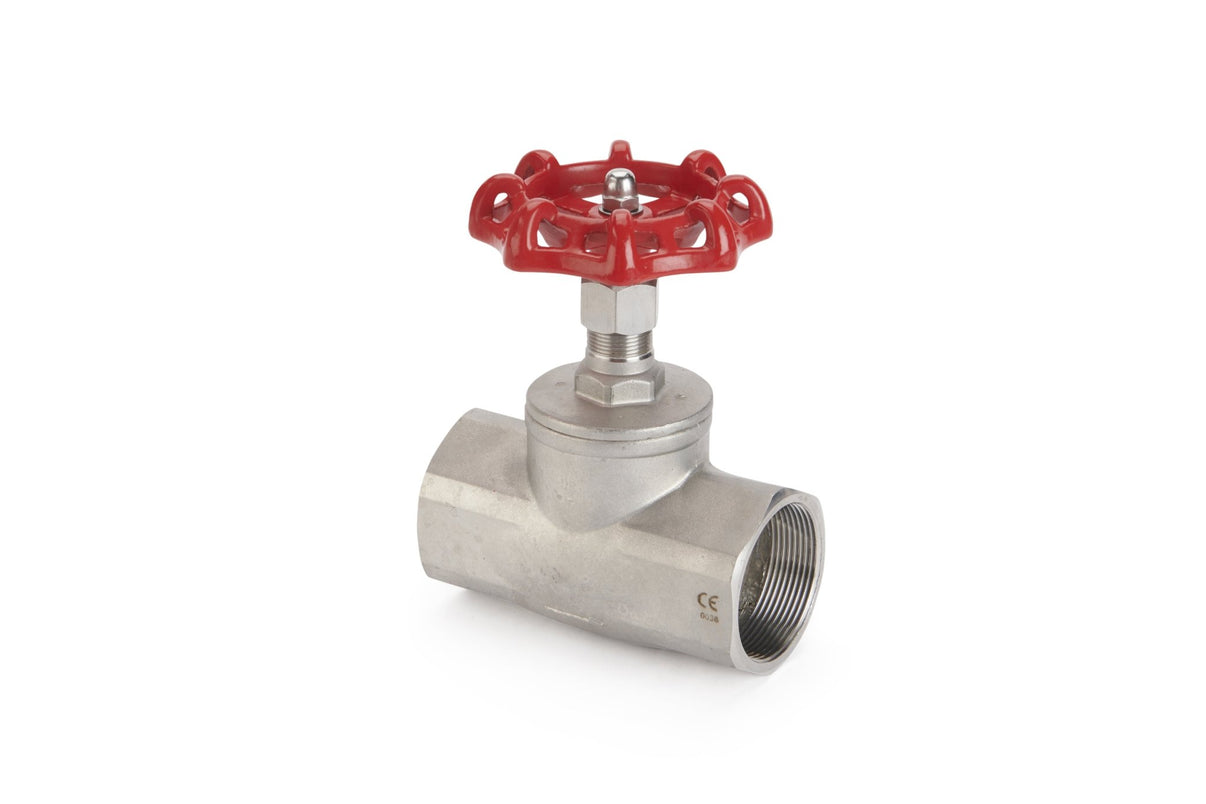 Globe Valve Stainless Steel 200 PSI BSP (CT-GL) – Valve Supply